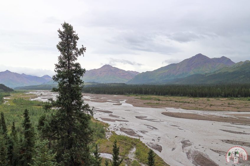 Denali Nationalpark: Erfahrungen & Tipps